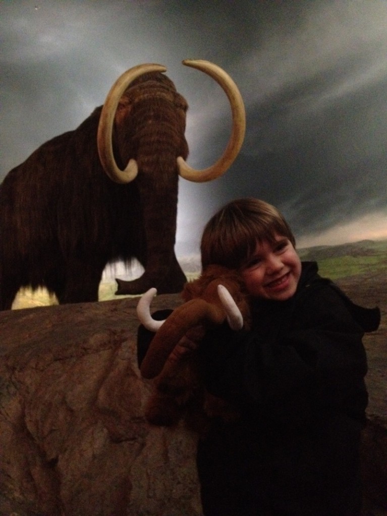 Tools at the Royal BC Museum | Badger Woodworks